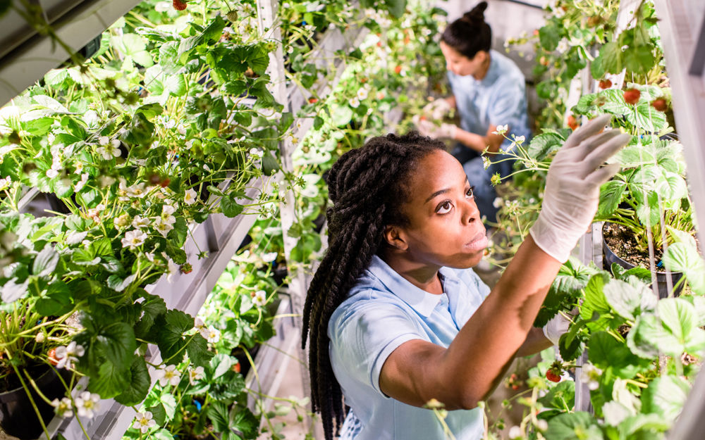 Climate resilient researchers: essential skills to work with wicked ...